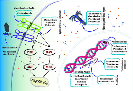 Nano drug delivery systems as promising tools for cancer therapy – Nano ...