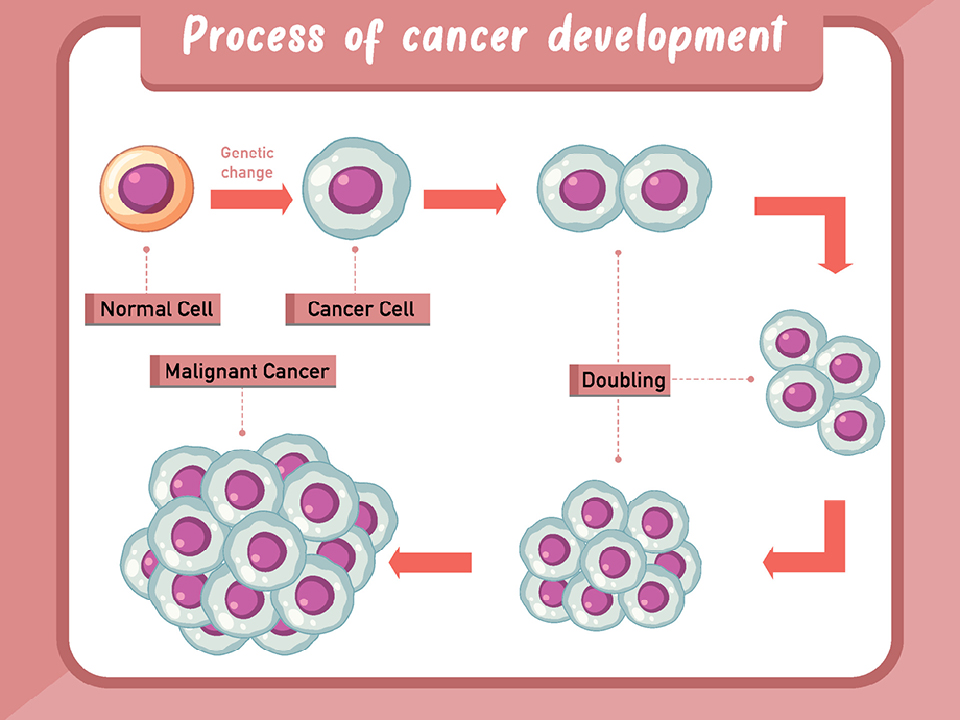 Promising Research Shows Nanotechnology Could Improve Chemotherapy for Peritoneal Cancer – Nano ...